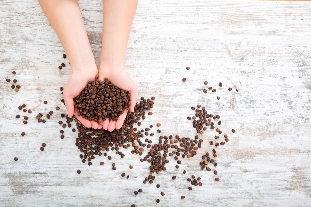 Is Arabica Coffee Dark Roast: Unveiling the Flavorful Details