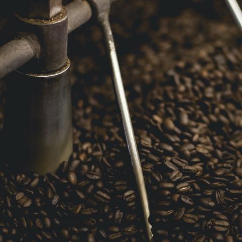 Shop Coffee Roasters - Majesty Coffee